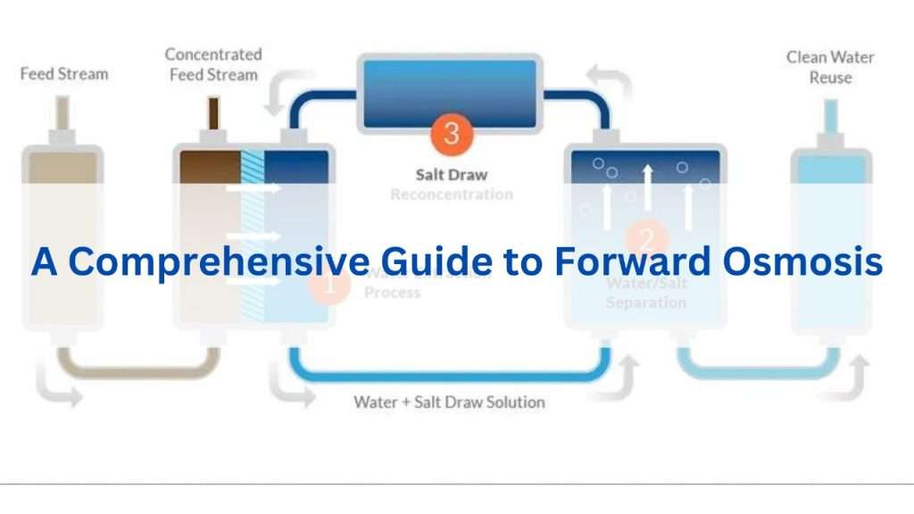 A Comprehensive Guide to Forward Osmosis - Membracon