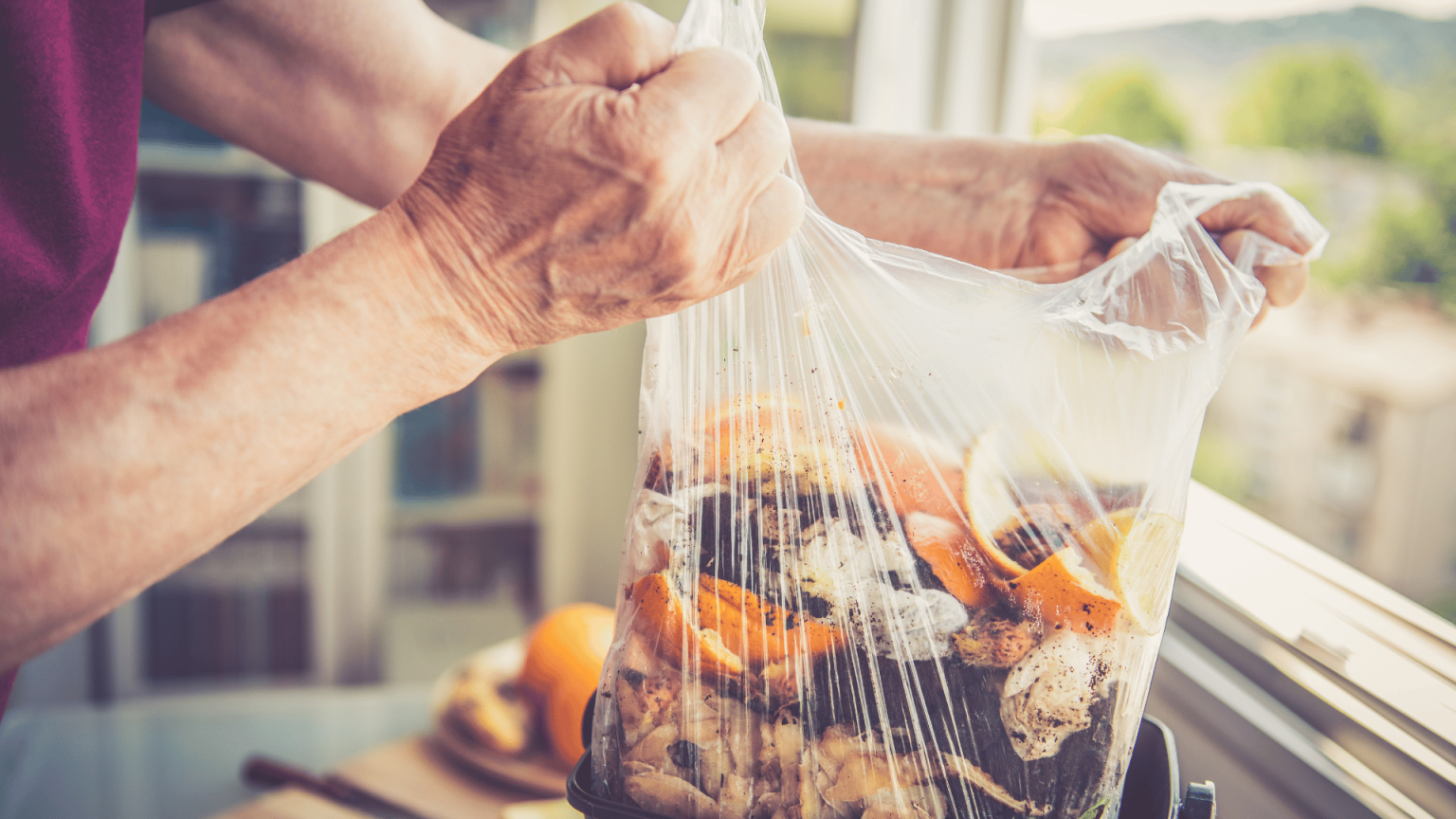 Food waste management - A comprehensive guide - Membracon