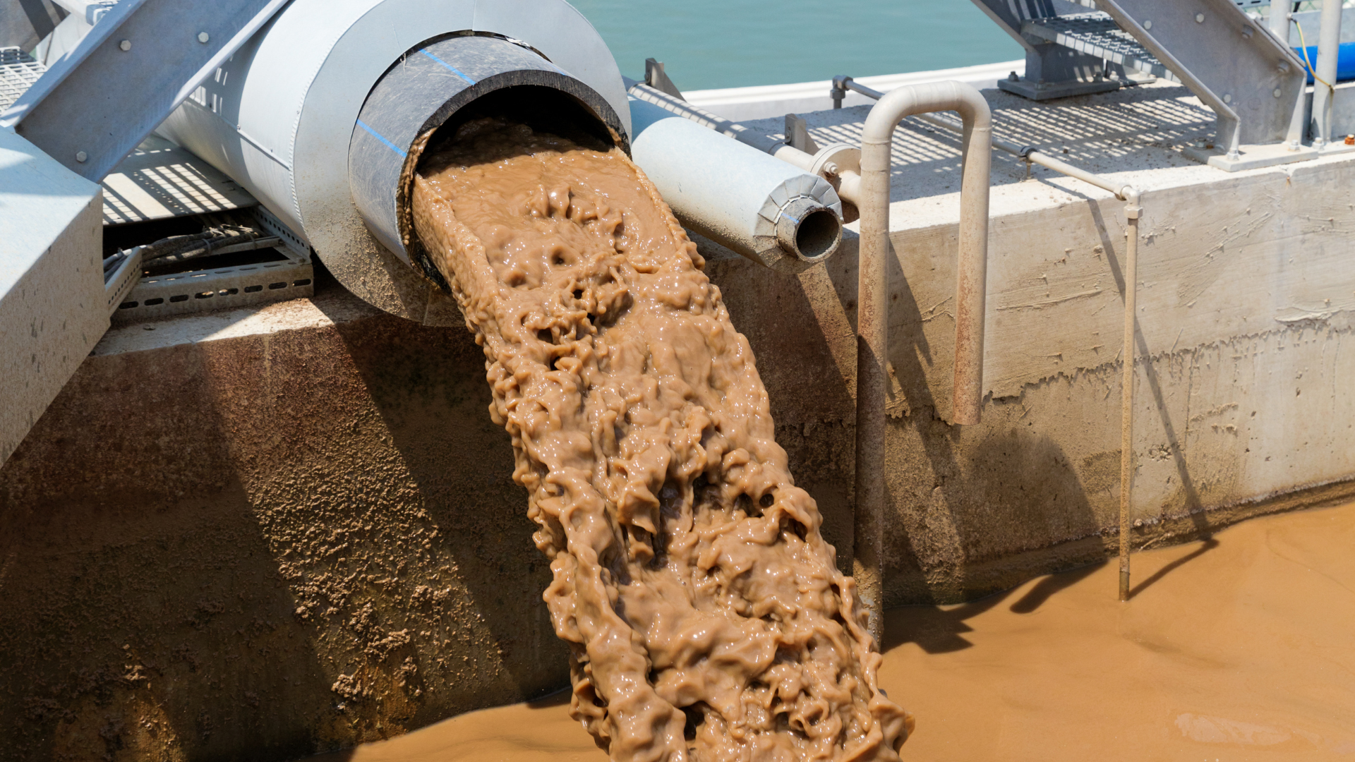 Biogas production from Sewage sludge | Anaerobic digestion